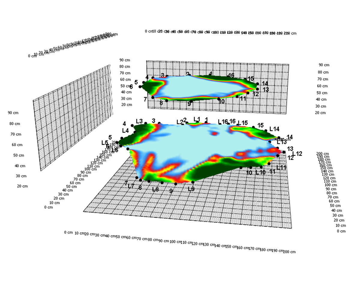 Tree Safety Management & Tree Risk Assessment – Aspect Tree Consultancy